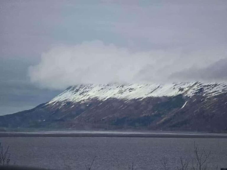 Whittier Cruise Shuttle Tour with Multiple Stops - A Complete Breakdown of the Tour