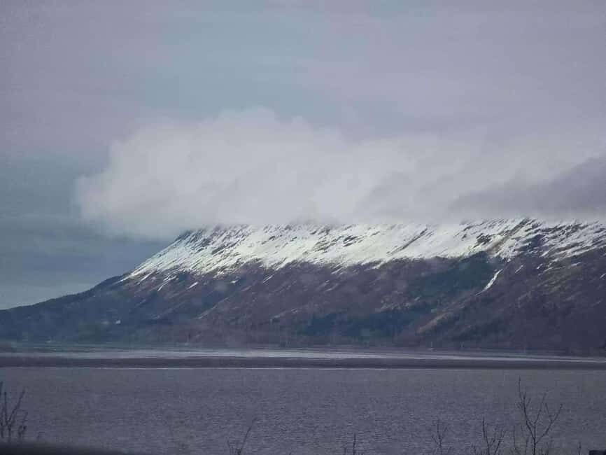 Whittier Cruise Shuttle Tour with Multiple Stops - A Complete Breakdown of the Tour