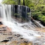 Wild Kangaroos, Blue Mountains and a Cruise - Practicalities and Value