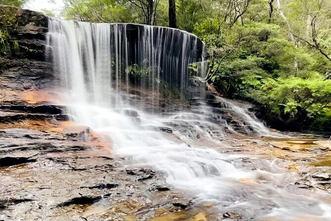 Wild Kangaroos, Blue Mountains and a Cruise - Practicalities and Value