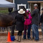 Wild Mustang Experience Near Colorado Springs - FAQ