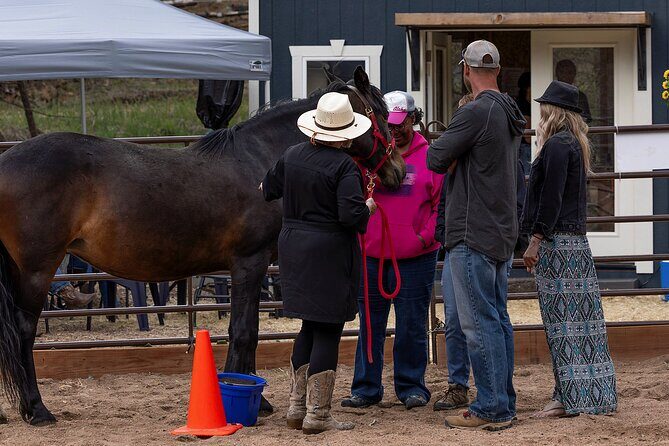 Wild Mustang Experience Near Colorado Springs - FAQ