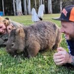 WILD Wombat and Kangaroo Day Tour, All Inclusive - Transportation and Group Size