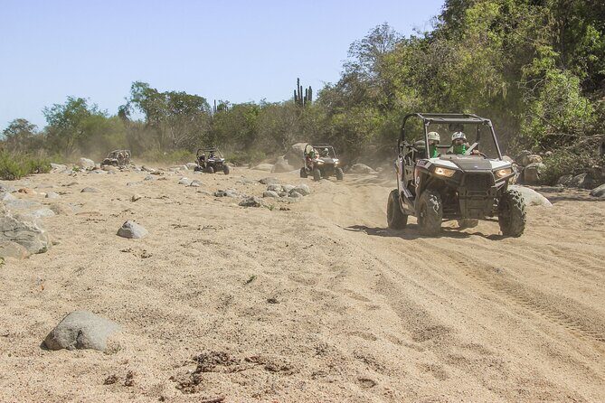 Wildest Adventure: Zip Lines, Free Falls, and Off-Road Thrills - FAQ