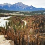 Wildfire Peak Nic - Key Points
