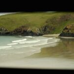 Wildlife and Penguin Tour - Who Is This Tour Best For?