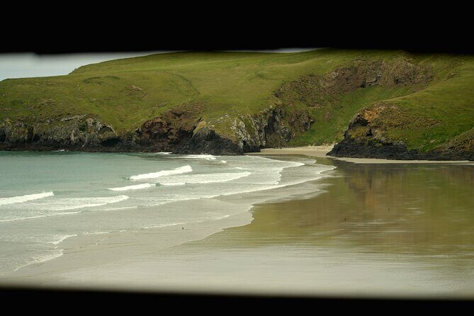 Wildlife and Penguin Tour - Who Is This Tour Best For?