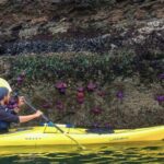 Wildlife Spotting Kayak Adventure on Orcas Island - What You Can Expect From the Experience