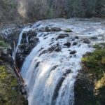Wildlife, Waterfalls, Caves, Old Growth on Vancouver Island - Practical Details and What to Expect