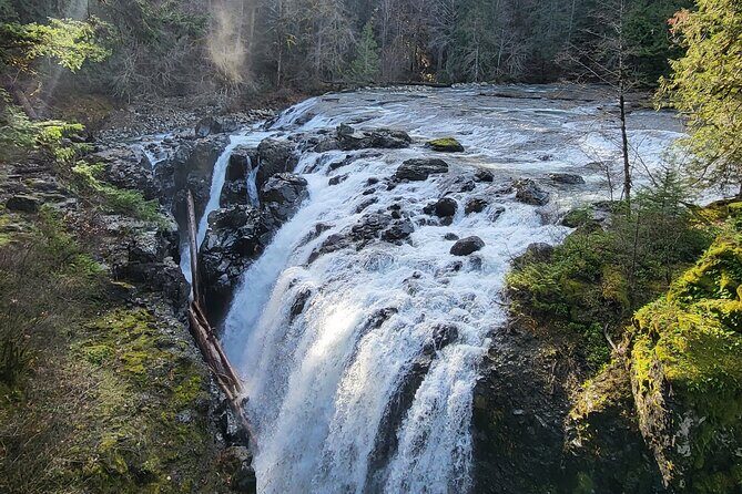 Wildlife, Waterfalls, Caves, Old Growth on Vancouver Island - Practical Details and What to Expect