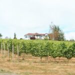 Willamette Valley Wine Tour - Exploring the Itinerary: What to Expect