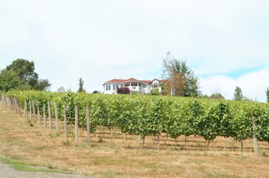 Willamette Valley Wine Tour - Exploring the Itinerary: What to Expect