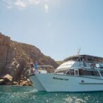 Wilsons Prom Whale Cruise - Who Will Love This Tour?