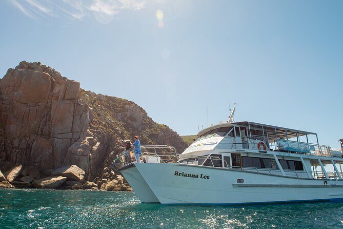Wilsons Prom Whale Cruise - Who Will Love This Tour?