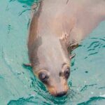 Wilsons Promontory Full Day Cruise - What to Expect on the Day