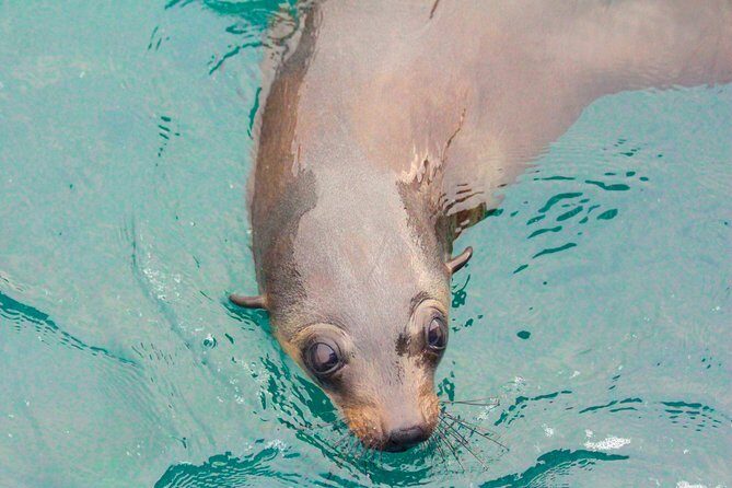 Wilsons Promontory Full Day Cruise - What to Expect on the Day