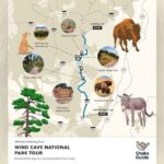 Wind Cave National Park Self-Guided Audio Tour - Practical Details and Tips