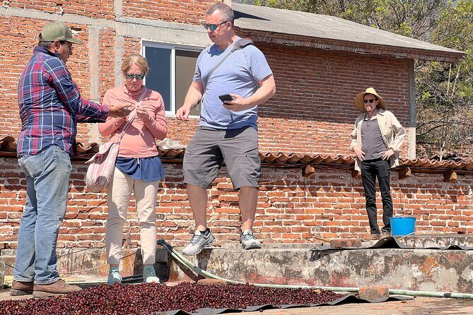 Wind TOUR: Mountains, Forests, Enigma Stones and Coffee Farms - What’s Included & What’s Not