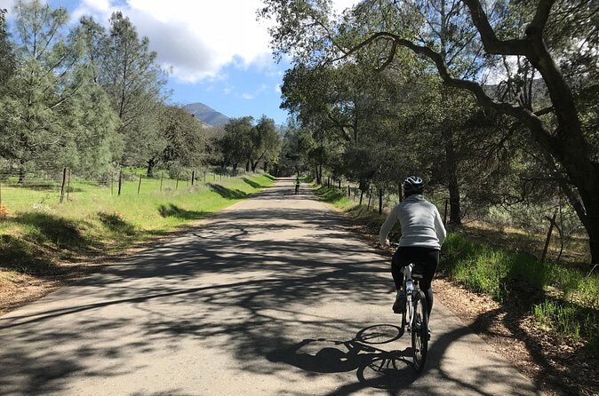 Wine Country Half-Day Bike Tour from Solvang - w/o Lunch - Detailed Breakdown of the Itinerary