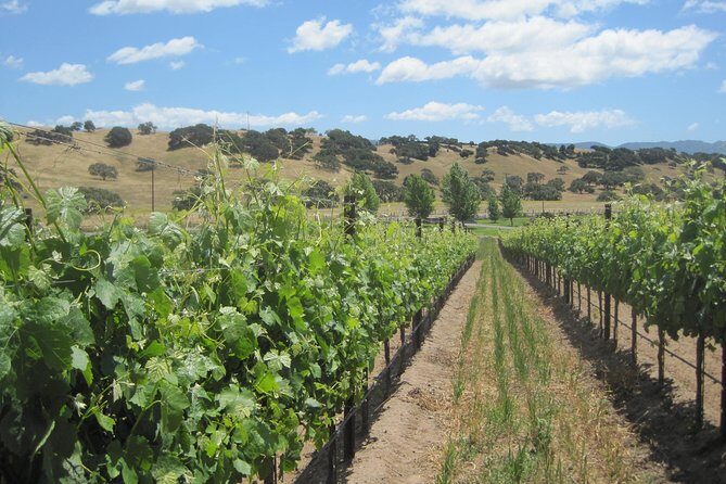 Wine Lovers Tour from Santa Barbara Area - Final Thoughts