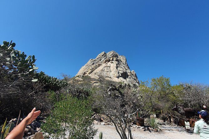 Wine Route in Tequisquiapan with Transportation - FAQ