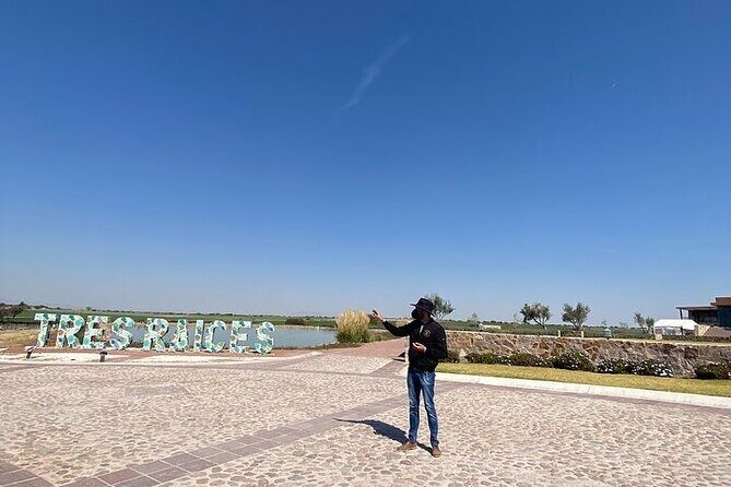 Wine Route !, Vineyards, wine tasting and pairing - What You Can Expect from the Tastings