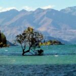 Wine Tasting Adventure Wanaka and Beyond - What to Expect at Each Stop
