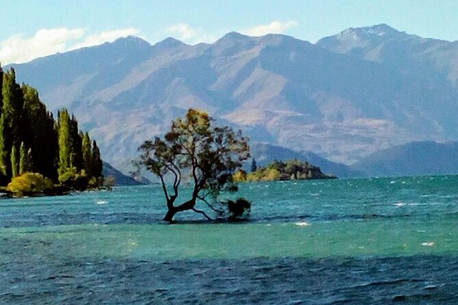 Wine Tasting Adventure Wanaka and Beyond - What to Expect at Each Stop