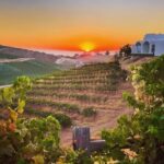 Wine Tasting Audio Tour - Paso Robles CA - Exploring the Itinerary: What You’ll Experience