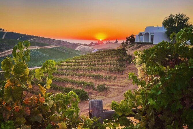 Wine Tasting Audio Tour - Paso Robles CA - Exploring the Itinerary: What You’ll Experience