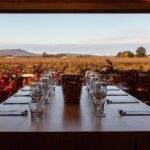 Wine Tasting Experience - What You Can Expect from the Yarran Wines Tasting Tour