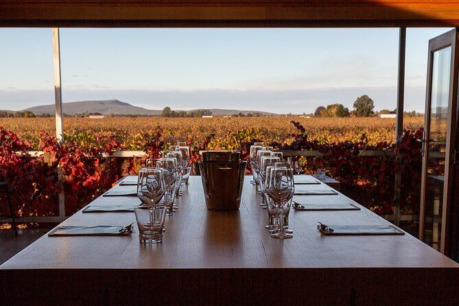 Wine Tasting Experience - What You Can Expect from the Yarran Wines Tasting Tour