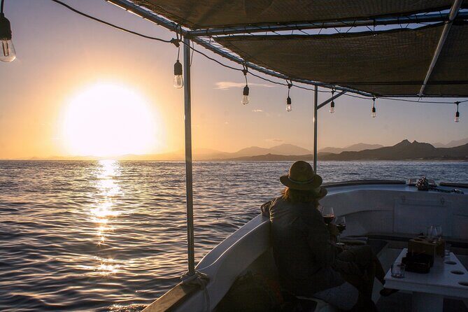 Wine Tasting Sunset Cruise Tour in San Jose del Cabo - The Meeting Point & Logistics