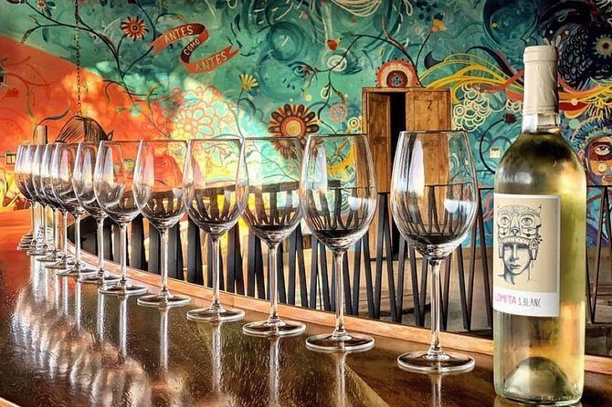 Wine tasting Valle de Guadalupe & Casa Frida - Final Thoughts: Who Should Consider This Tour?