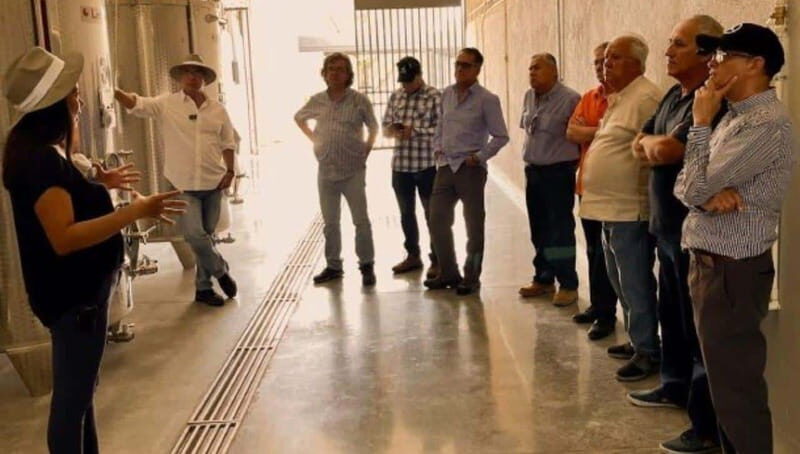 Wine tour and tasting at Vinícola Tierra de Luz - The Practicalities: What to Expect