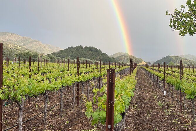 Wine Tour Pros - Sprinter Van Wine Tour: Up To 14 Guests - What’s Included and What to Budget For