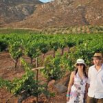 Wine tour valley of guadalupe - Authentic Experiences and Review Highlights