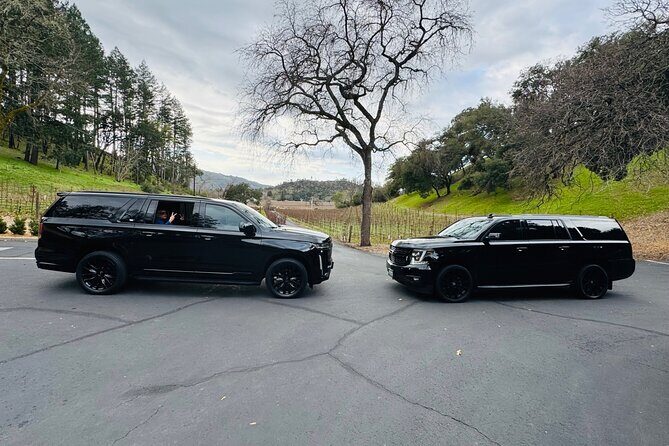 Wine Tours for 6 Hours and Private Transportation Services - Meeting Points and Logistics