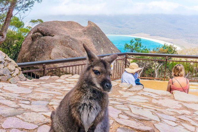 Wineglass Bay & Freycinet NP Full Day Tour from Hobart via Richmond Village - Who Will Love This Tour?