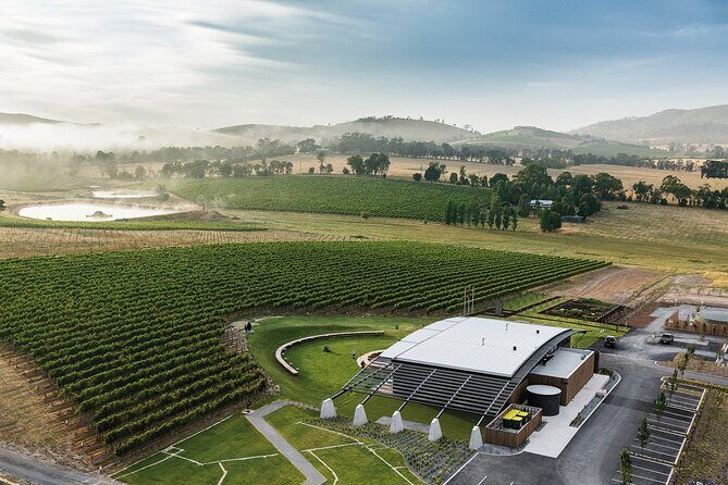 Winery Lunch by Helicopter to Levantine Hill in Yarra Valley - Who Will Love This Tour?