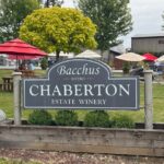 Winery Tasting at Boutique Vineyards - A Deep Dive into the Vancouver Boutique Winery Tour