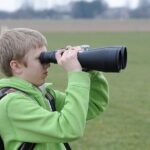 Wings & Wilds of Canberra: Tidbinbilla Half-Day Private Tour - The Sum Up