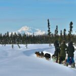Winter Dog Sled Tour Day or Night Mush! - Who Should Consider This Tour?