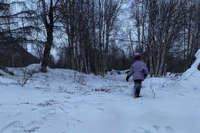 Winter Family Fun Day in Palmer Alaska - Why This Tour Offers Great Value