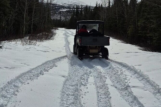 Winter Side by Side ATV Tour - Considering the Cost