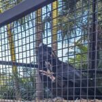 Wollongong Sightseeing Guided Day Tour - Who Will Love This Tour?