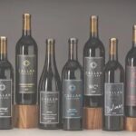 Women Winemakers in Woodinville WA - Why This Tour Works for You