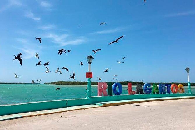Wonderful Tour Las Coloradas & Buffete only from Cancun - Pricing & Value