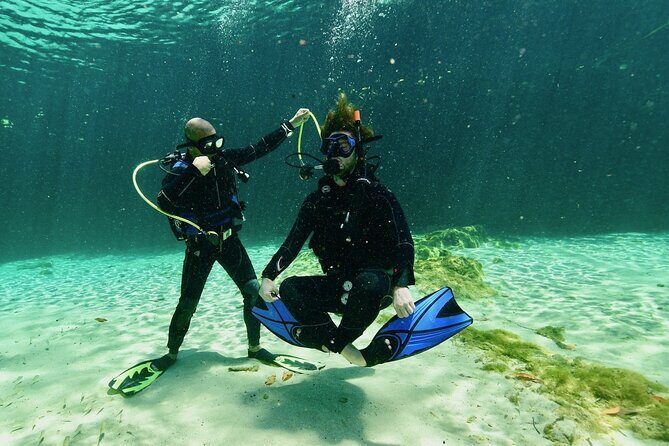 Wonders of the Underwater World: Discover Scuba Diving in Tulum - Value and Price Consideration