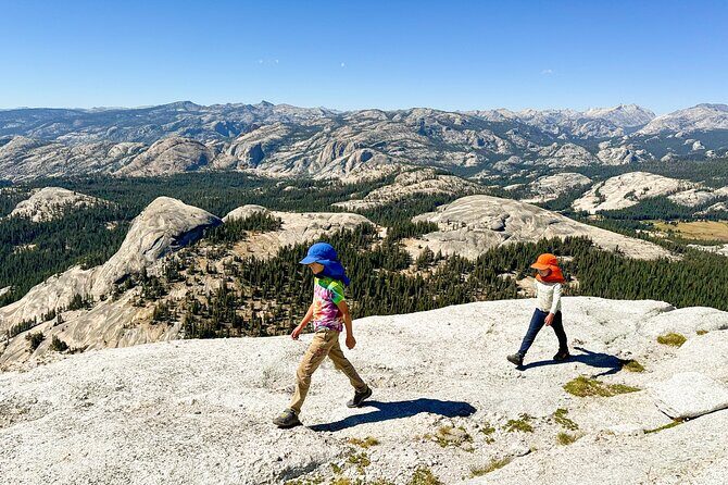 Wonders of Yosemite: Kid Friendly Private Tour - Why This Tour Fits Certain Travelers Best